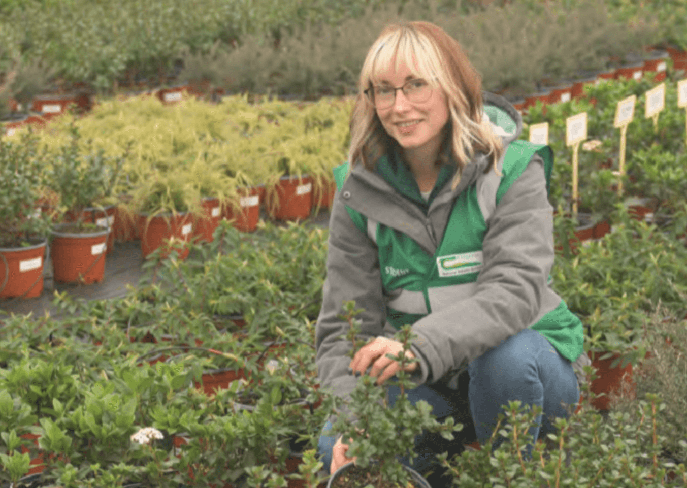 Growtrade | Ireland’s online source for latest news and insight for the ...