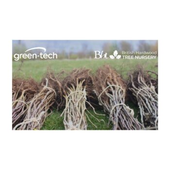 Growtrade | Ireland’s online source for latest news and insight for the ...